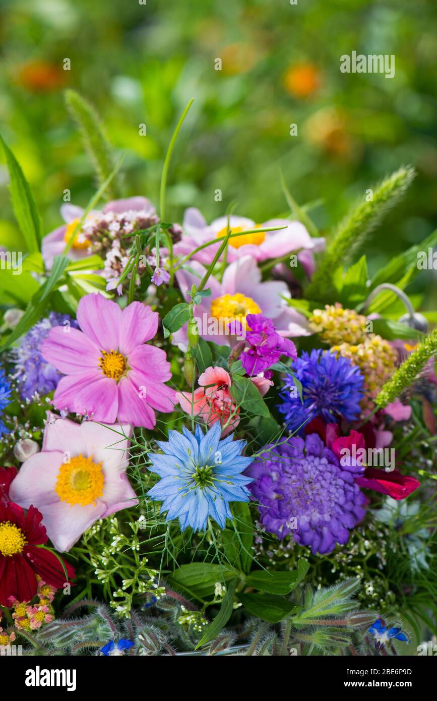 Colorful wild flower bouquet in a pot Stock Photo - Alamy
