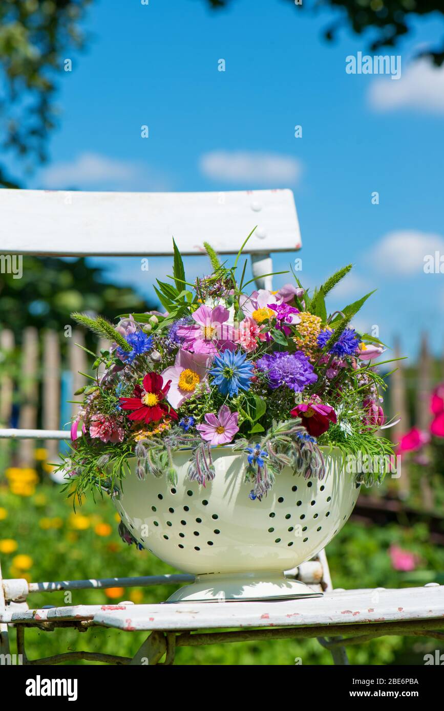 Colorful wild flower bouquet in a pot Stock Photo - Alamy
