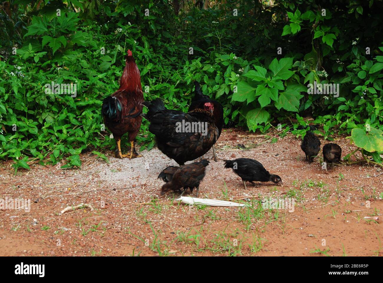 Family first hi-res stock photography and images - Alamy