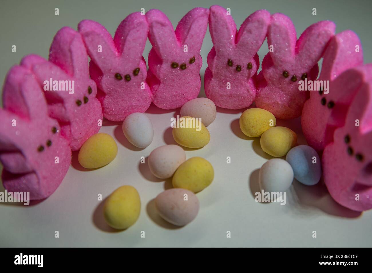 A gathering of pink marshmallow bunny peeps standing upright in a ...