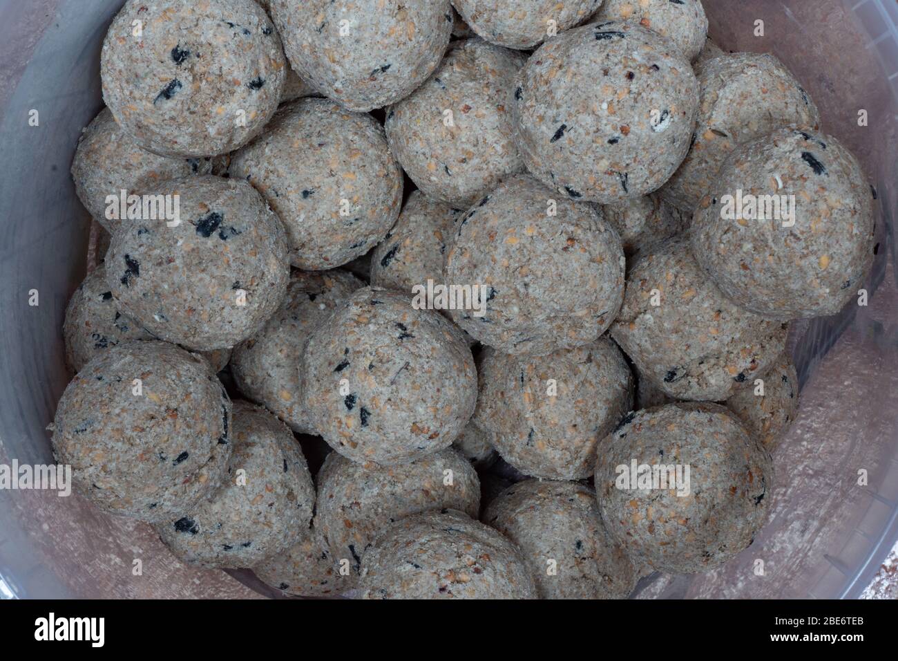 Fat bird hi-res stock photography and images - Alamy