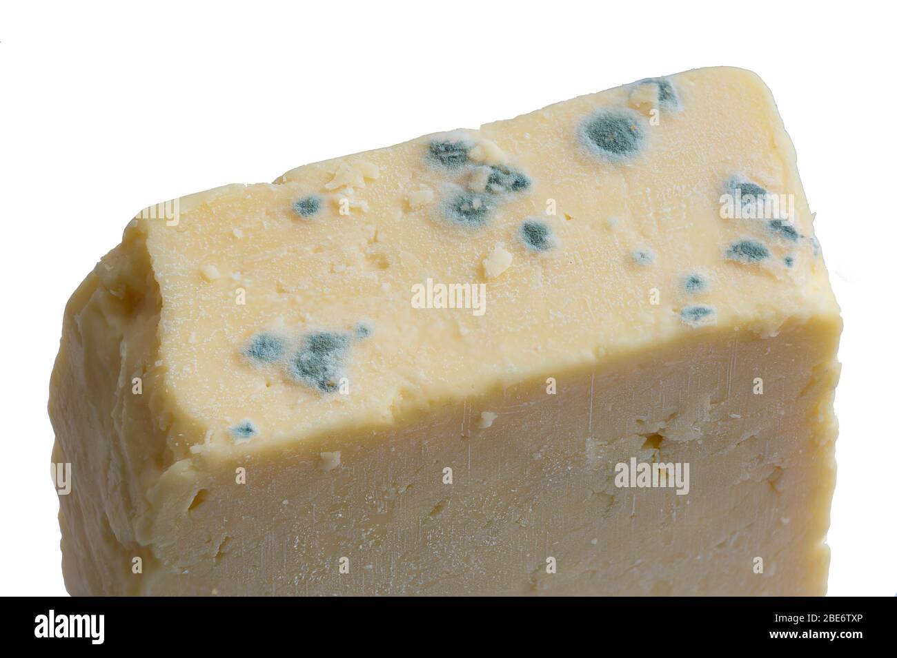 Rotten Cheese