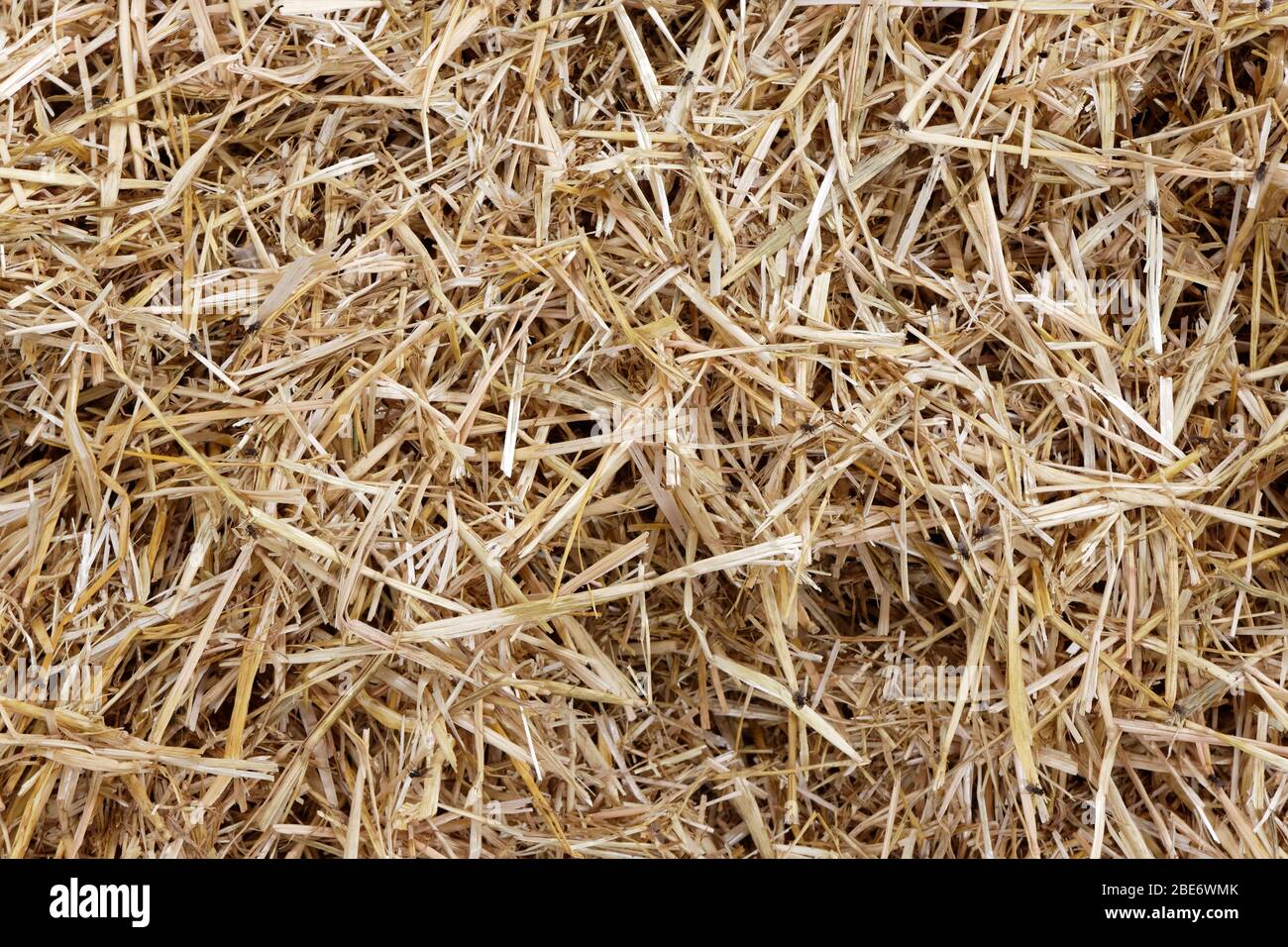 Straw surface. Straw pack texture. Stack of straw texture image. Dry ...