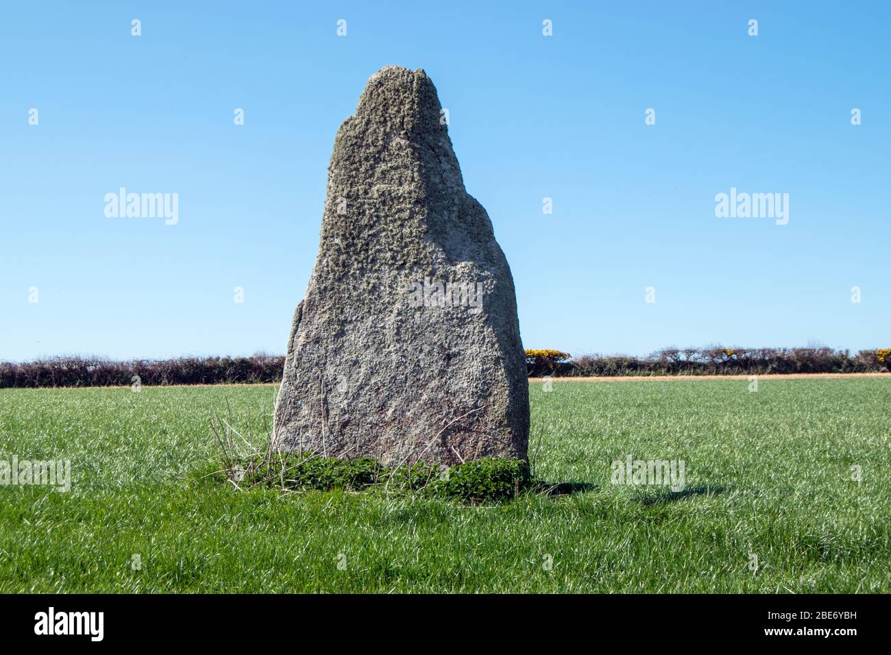 The Blind Fiddler, Standing Stone near Catchall, Cornwall UK Stock ...