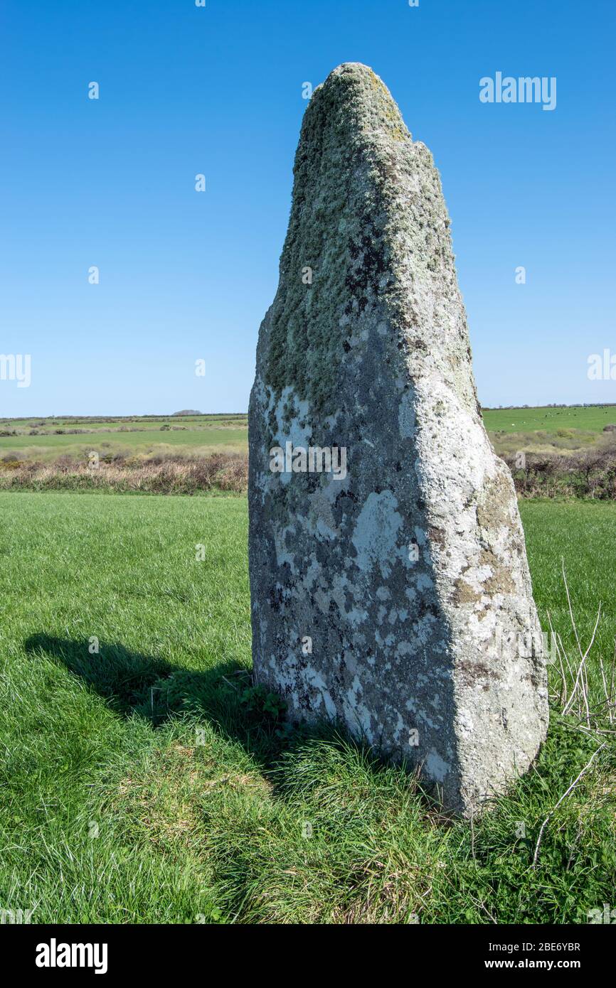 The Blind Fiddler, Standing Stone near Catchall, Cornwall UK Stock ...