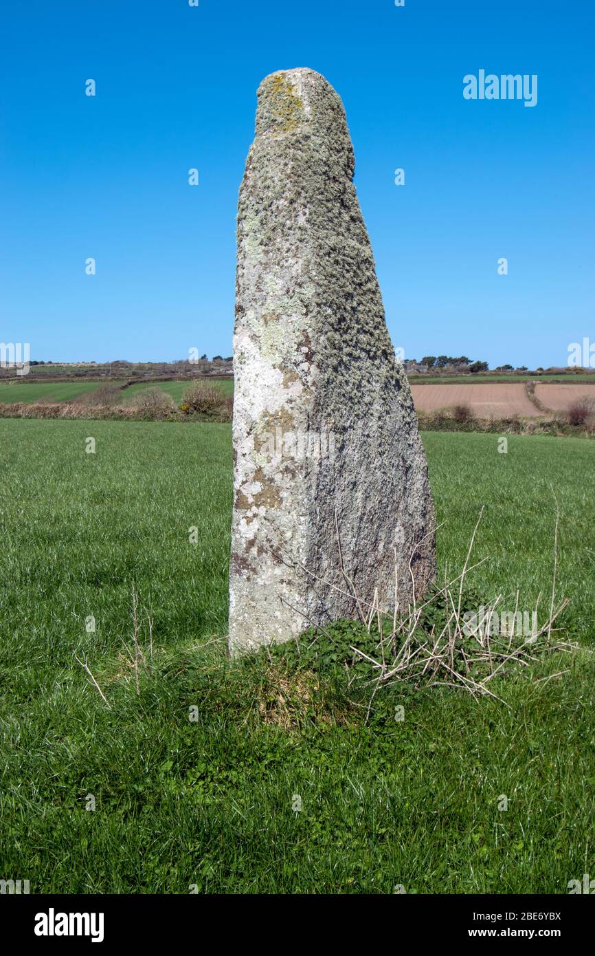The Blind Fiddler, Standing Stone near Catchall, Cornwall UK Stock ...