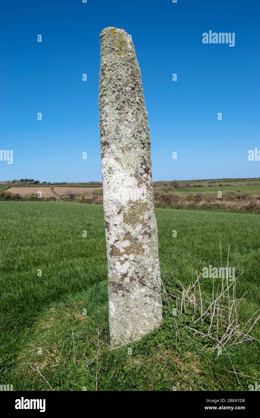 The Blind Fiddler, Standing Stone near Catchall, Cornwall UK Stock ...