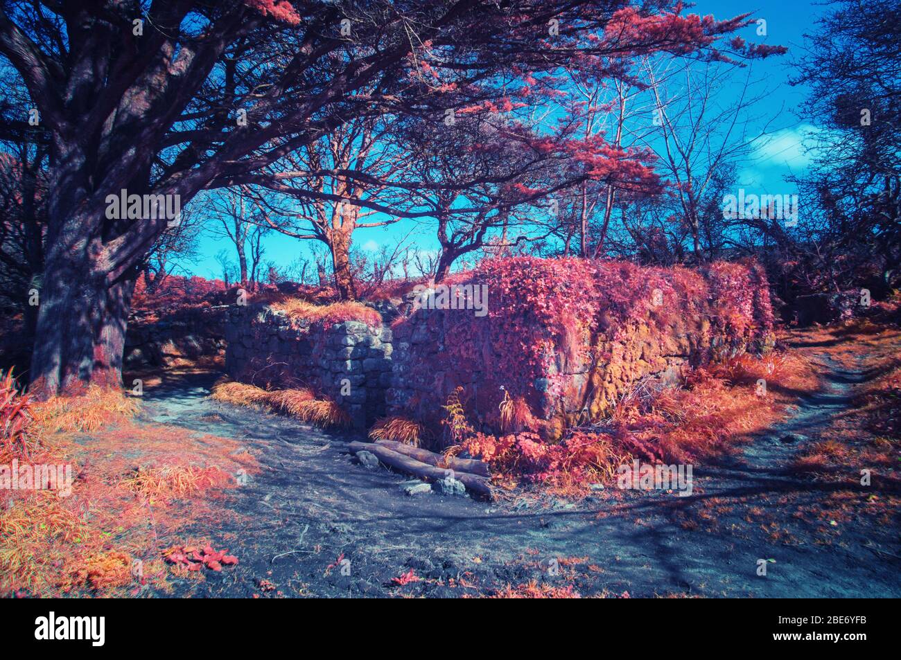 The Old Celtic Baptistry, Madron, Cornwall UK Stock Photo - Alamy