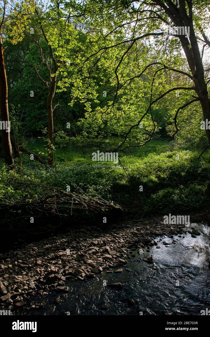 Dowles brook hi-res stock photography and images - Alamy