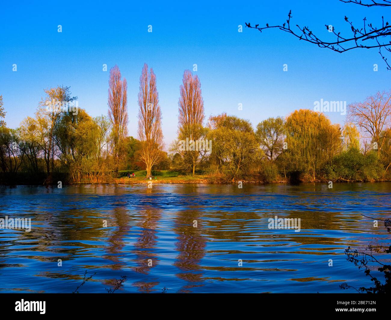 The river Main near Frankfurt in germany Stock Photo - Alamy