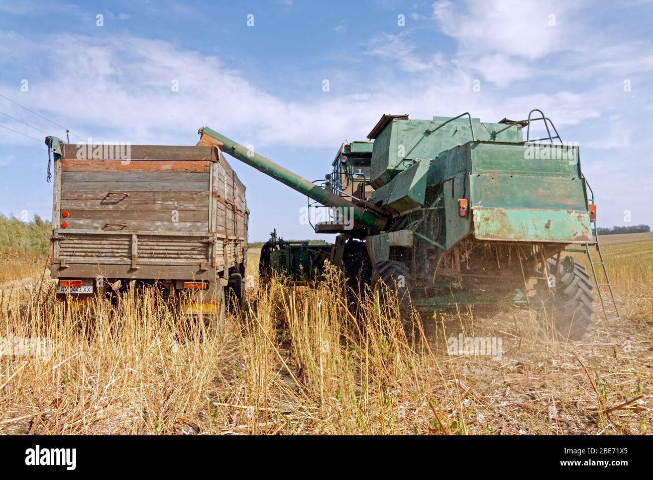 Combine harvester load sunflower seed in the truck at the time of ...
