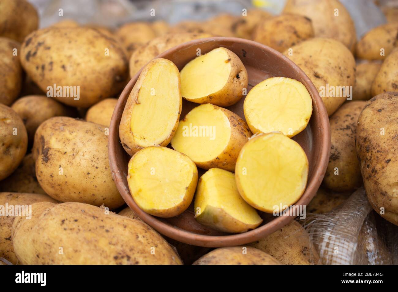 The concept of fresh vegetables, organic natural food, growing potatoes ...