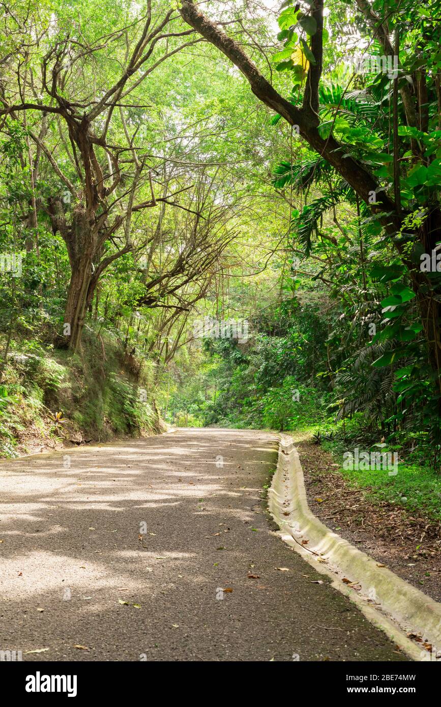 rural road, surrounded by wet looking between light and shadow Stock ...