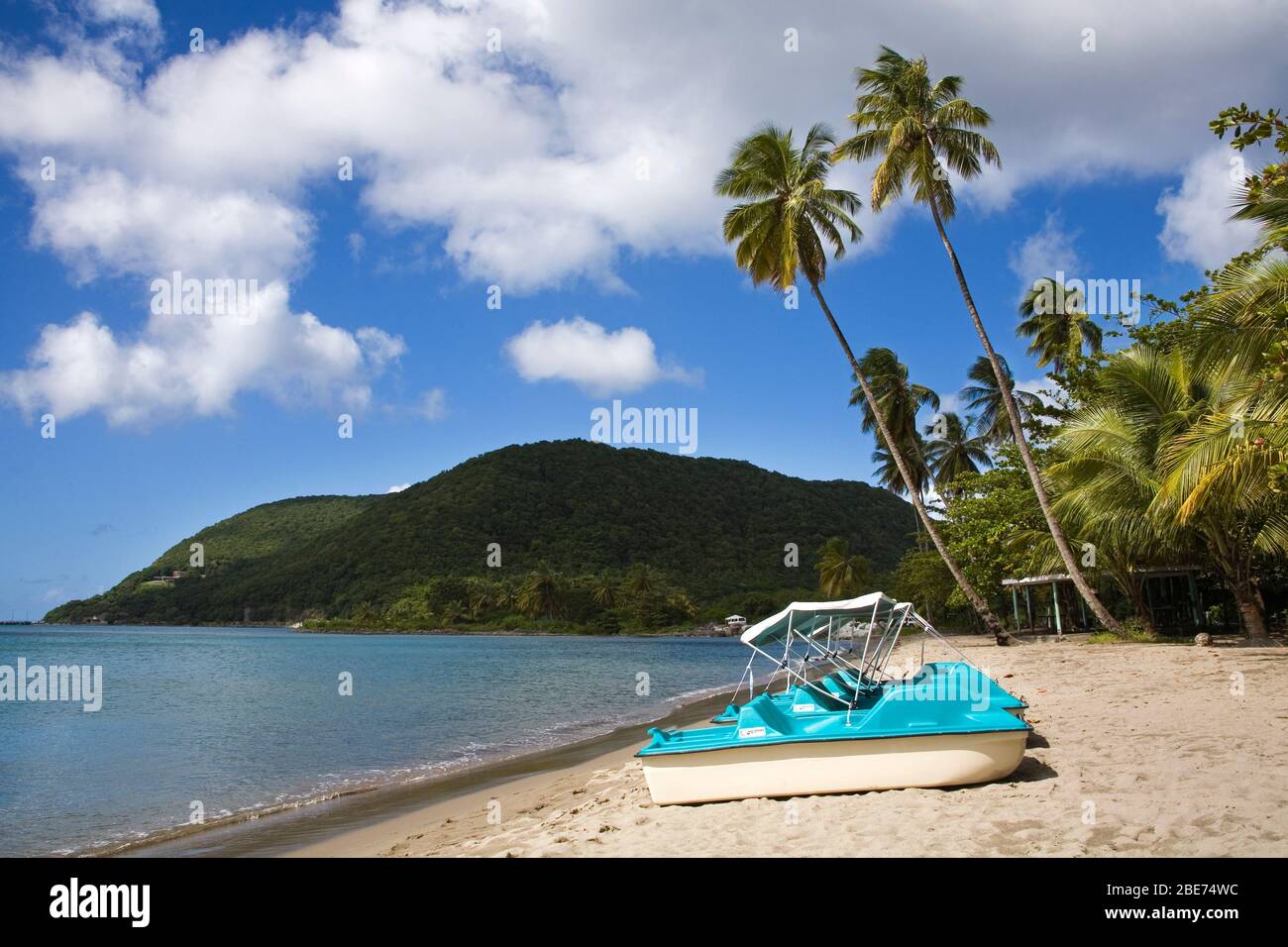 Purple Turtle Beach Club High Resolution Stock Photography and Images ...