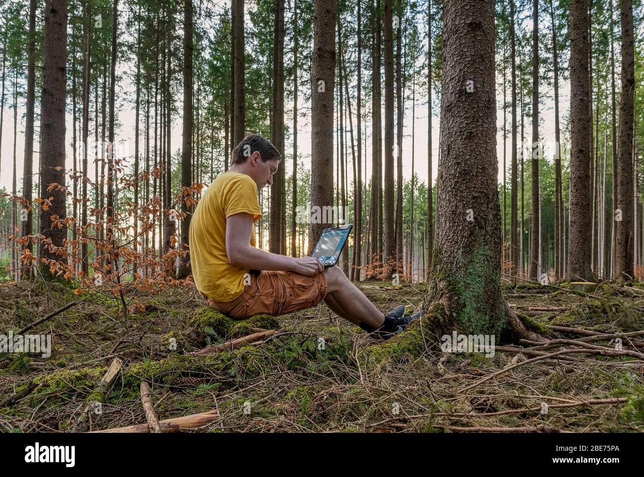 A man working with his laptop in a forest on the fresh air sitting on a ...