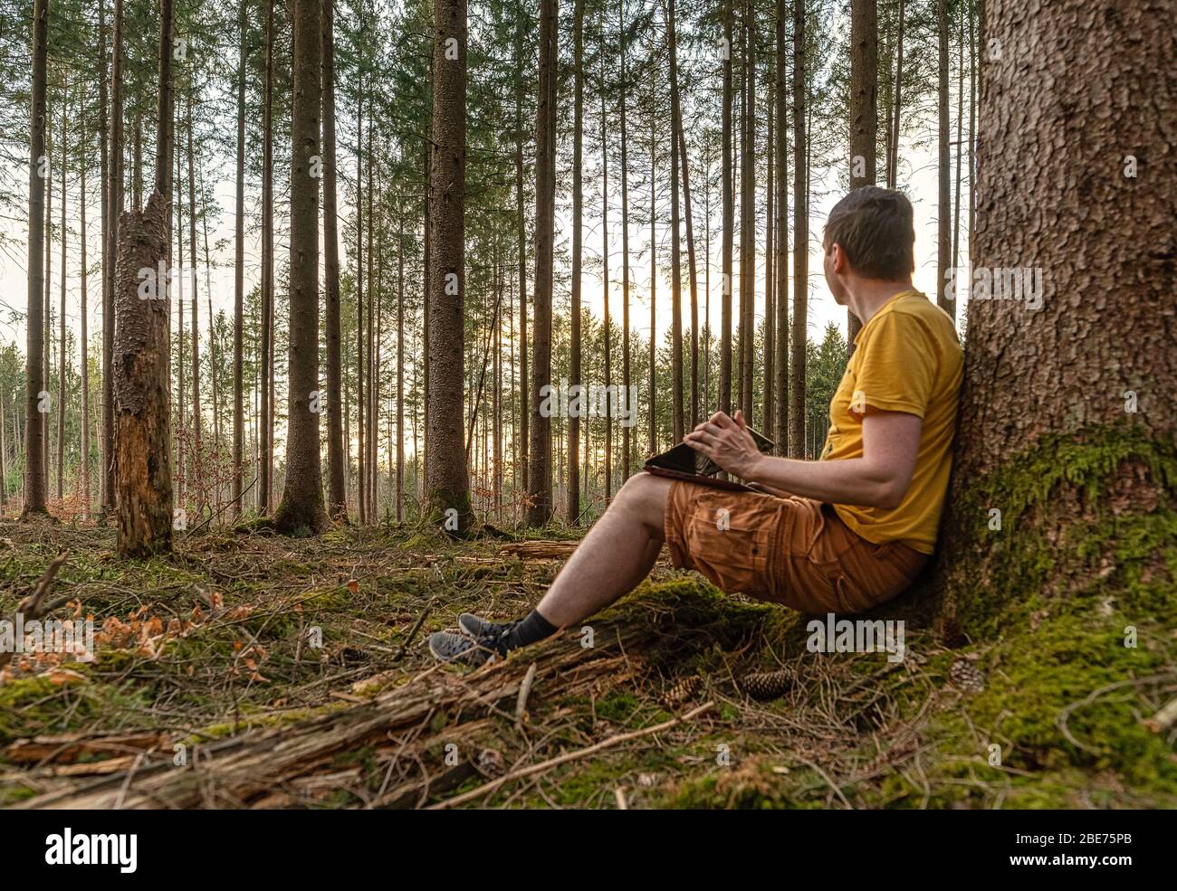 A man working with his laptop in a forest on the fresh air Stock Photo ...