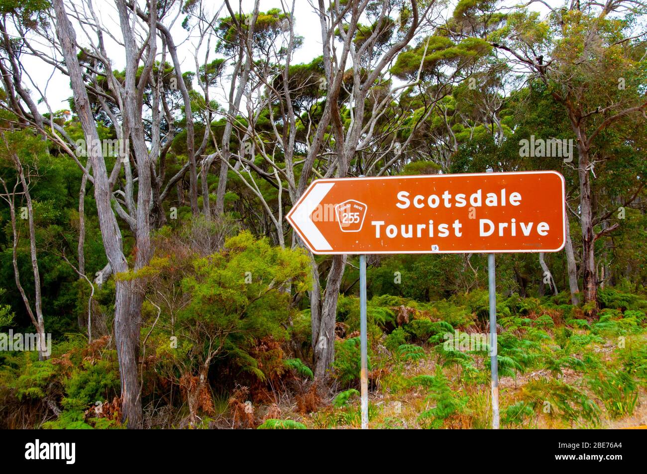 Scotsdale Tourist Drive Road Sign - Australia Stock Photo - Alamy