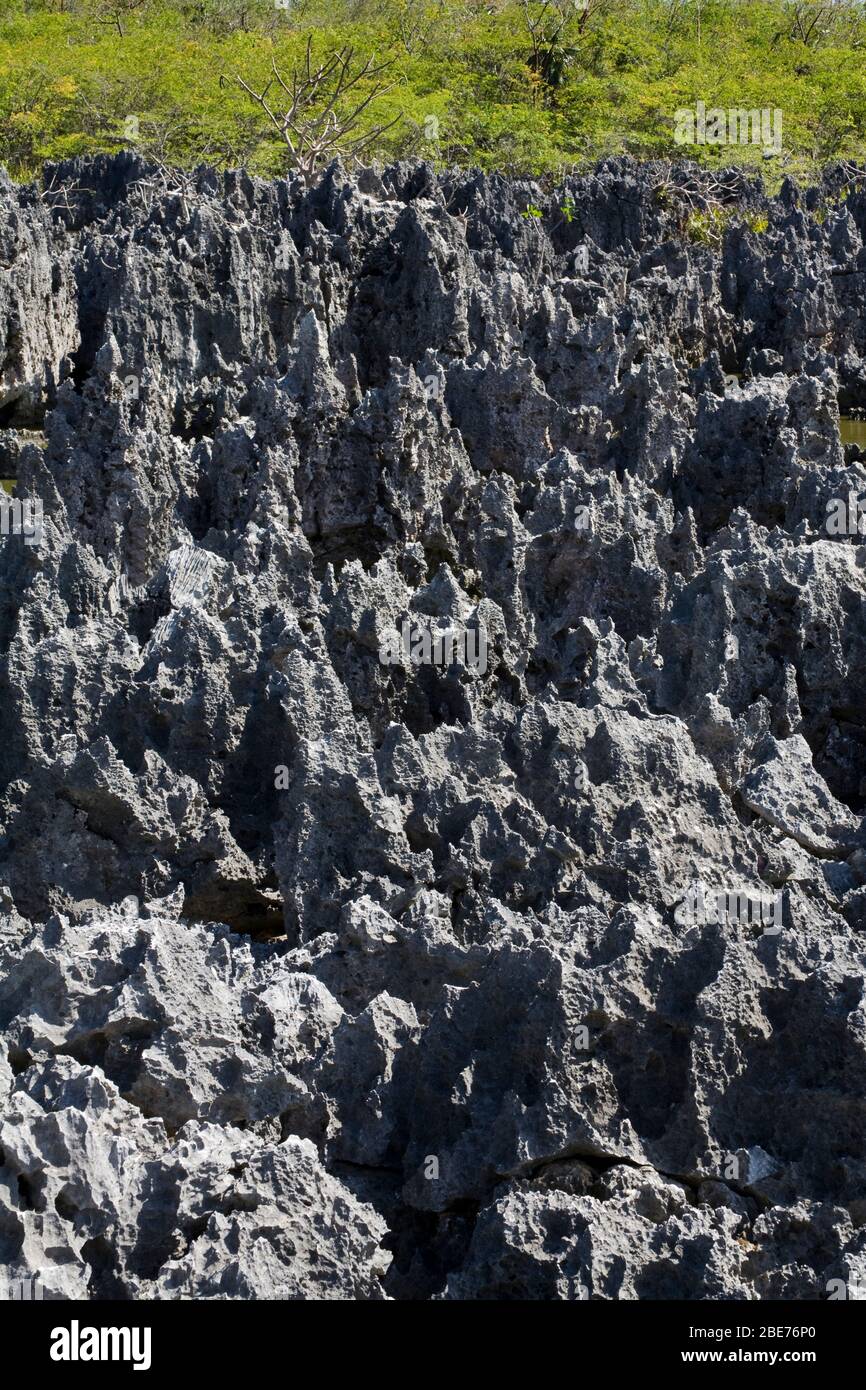 Rock Formations in Hell, Grand Cayman, Cayman Islands, Greater Antilles ...