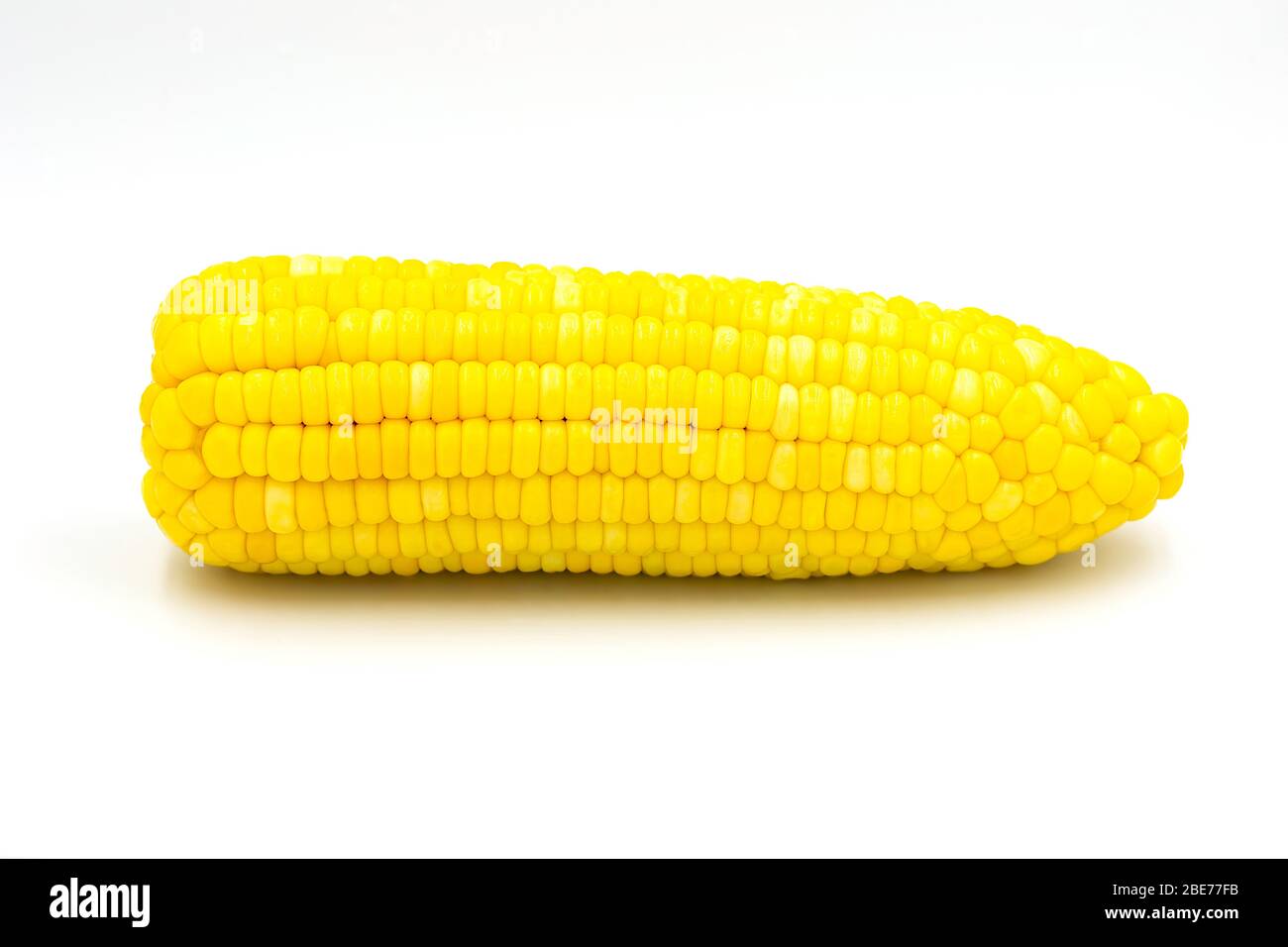 Single ear organic sweet corn on white isolated background and copy ...