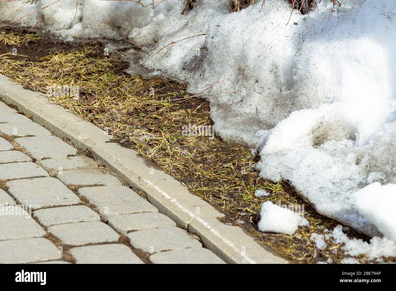 pavement edge with a curb stone and a lawn covered with melting snow in ...