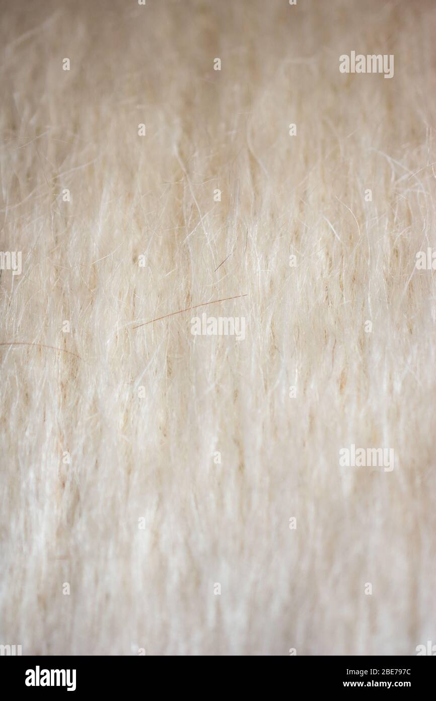 Felt like texture hi-res stock photography and images - Alamy