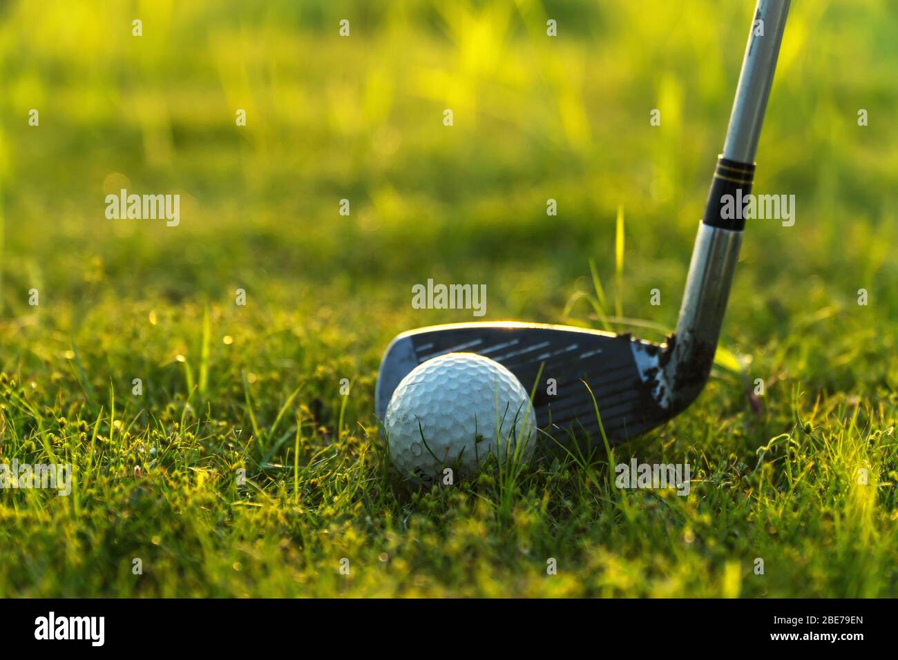 Couple lover in action of playing golf together. Golf ball away from ...
