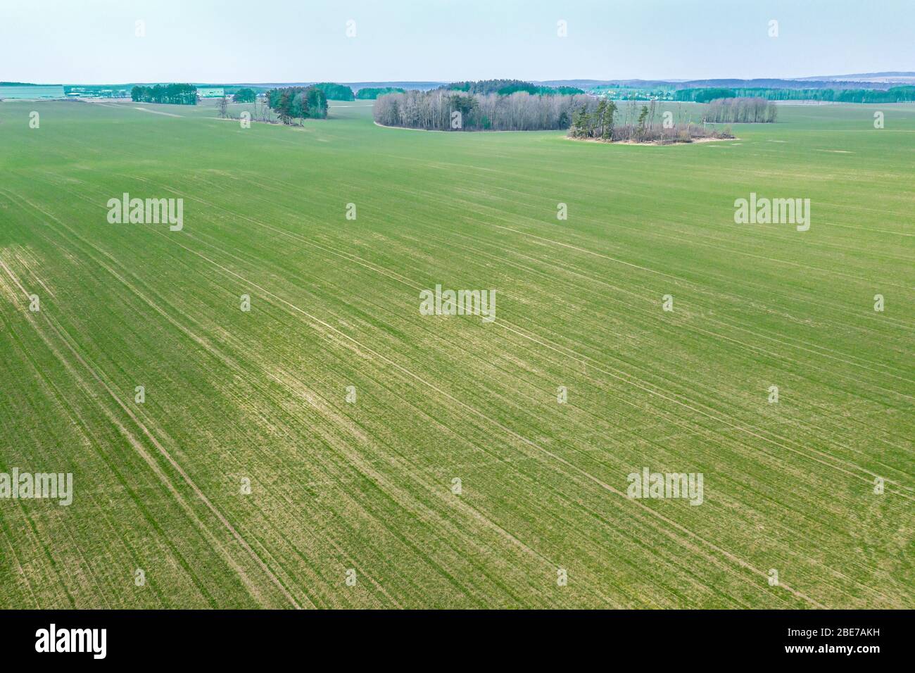 spring landscape in suburban area with green farmland fields on sky ...