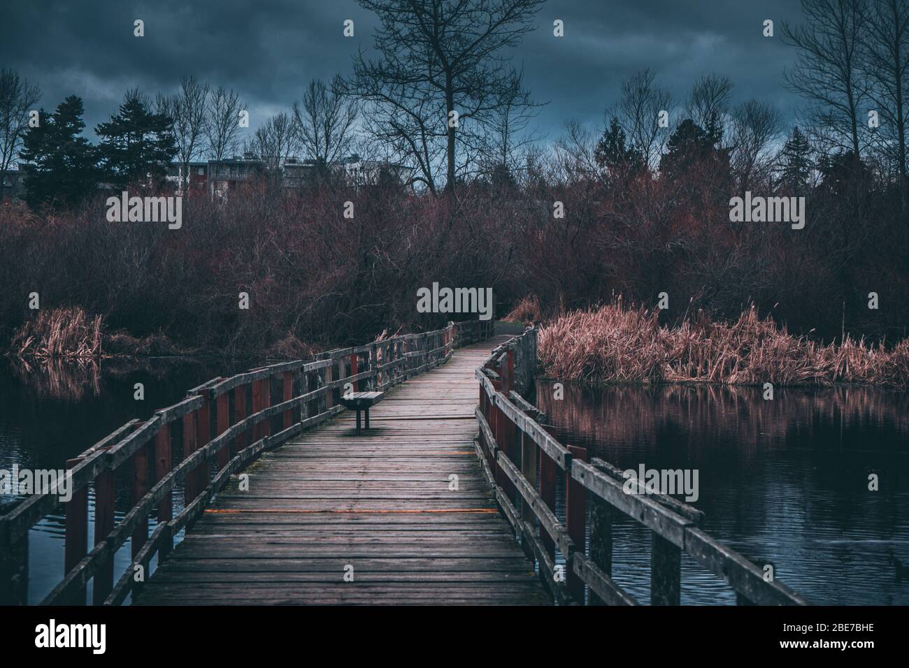 Sunset over the lake in Canadian city Victoria Stock Photo - Alamy