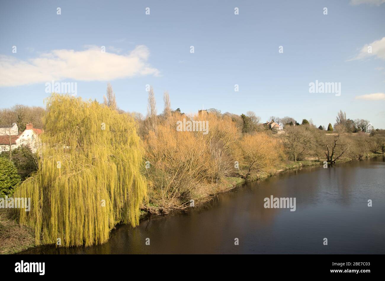 Banks of the River Tees in Yarm, Northern England Stock Photo - Alamy
