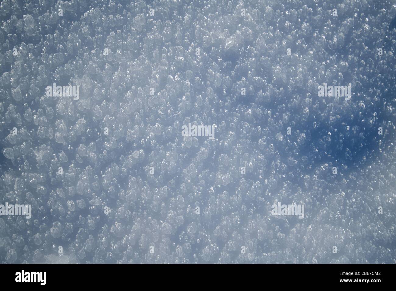 Texture of natural snow. View above the snow Stock Photo - Alamy