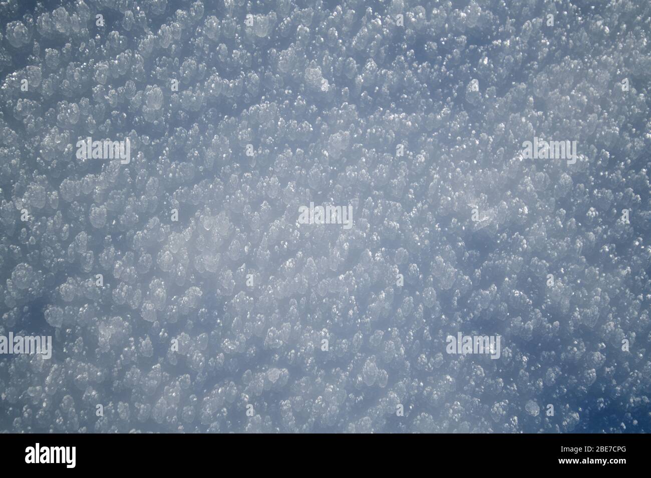 Texture of natural snow. View above the snow Stock Photo - Alamy