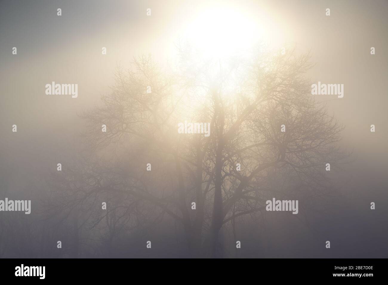 Sun in steam fog Stock Photo - Alamy