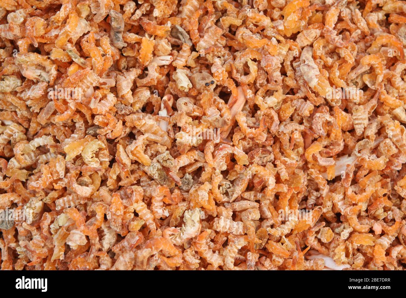 dried shrimps - a kind of aquatic products, close up of pictures,in ...