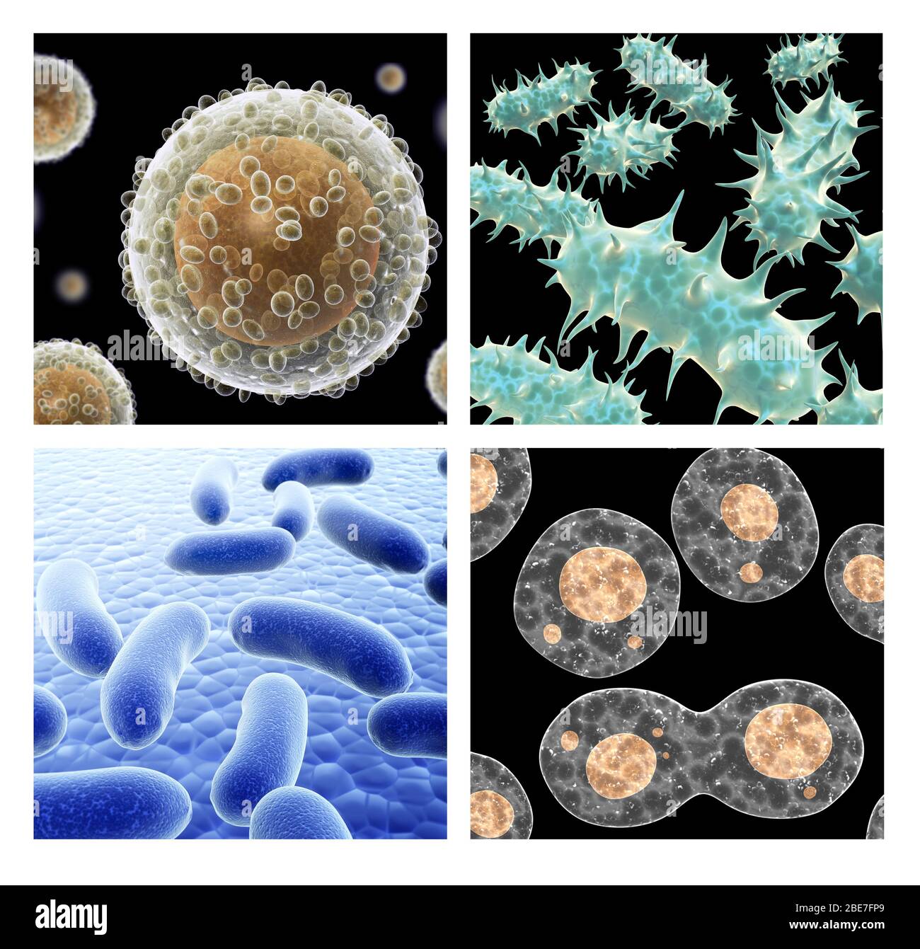 Collection of square banners with pathogenic bacterias and viruses ...
