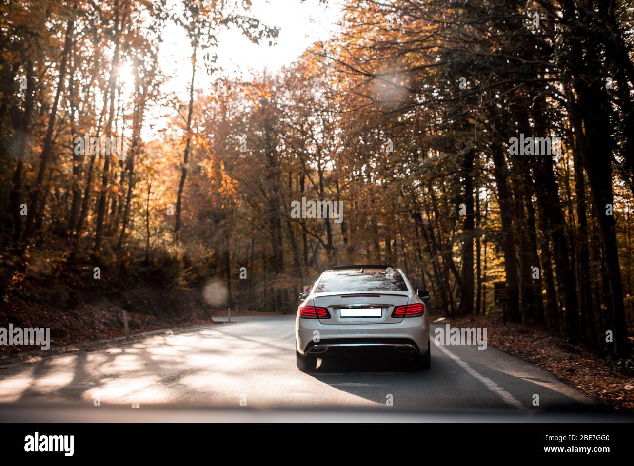 Silver business class car with red xenon lights in the forest road ...