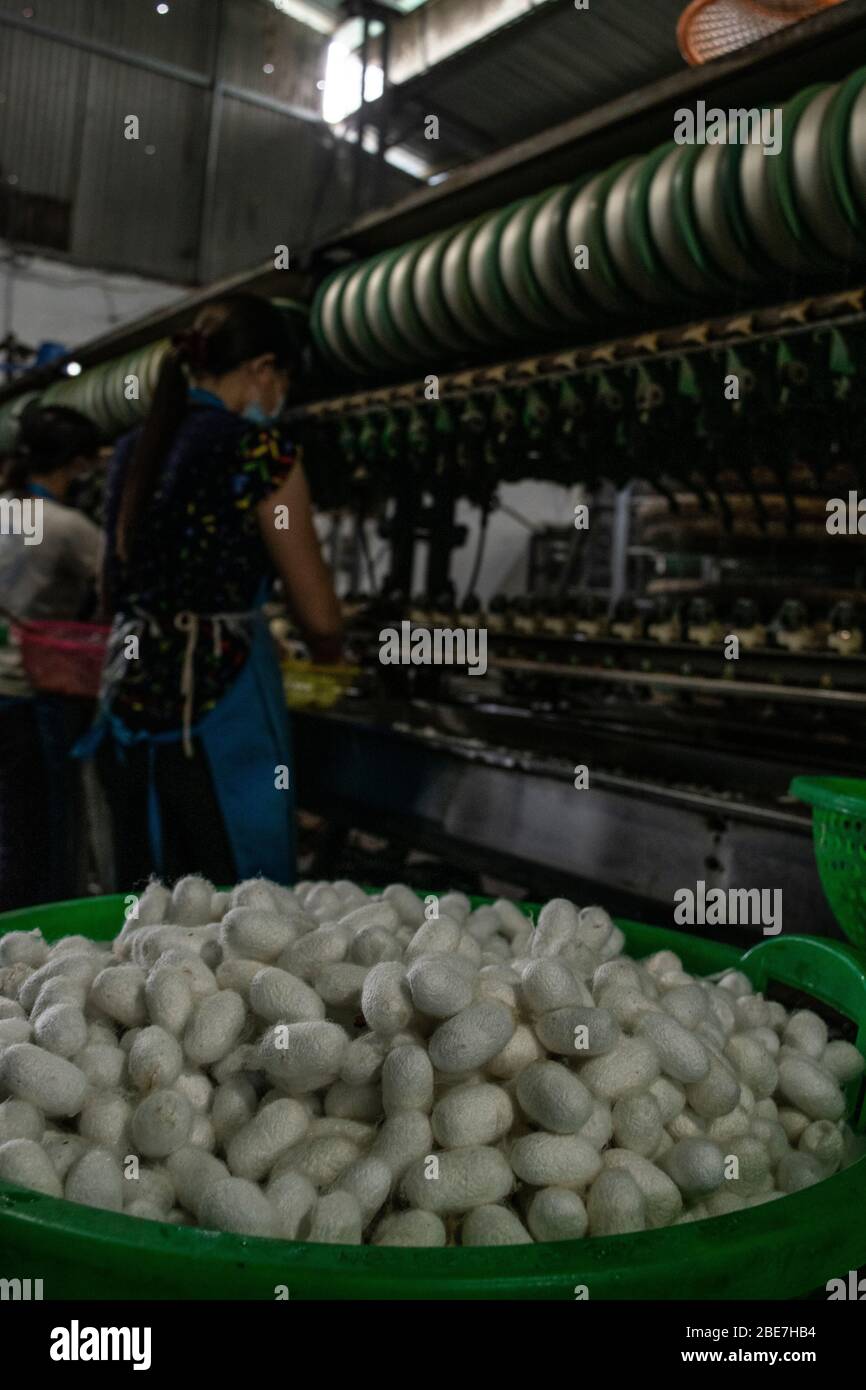 Ancient silk production hi-res stock photography and images - Alamy