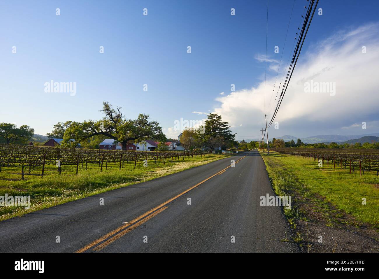Sonoma county california vineyards hi-res stock photography and images ...