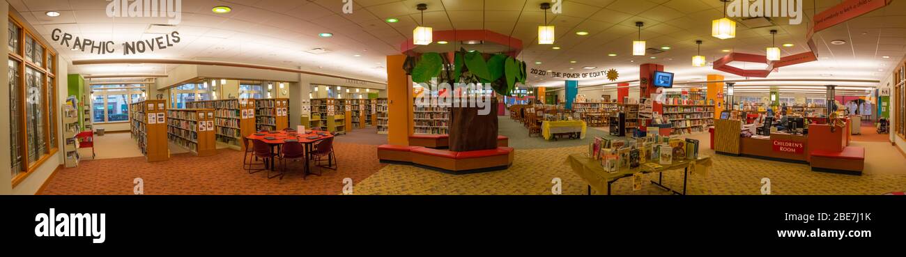 Chicago Public Library High Resolution Stock Photography and Images - Alamy