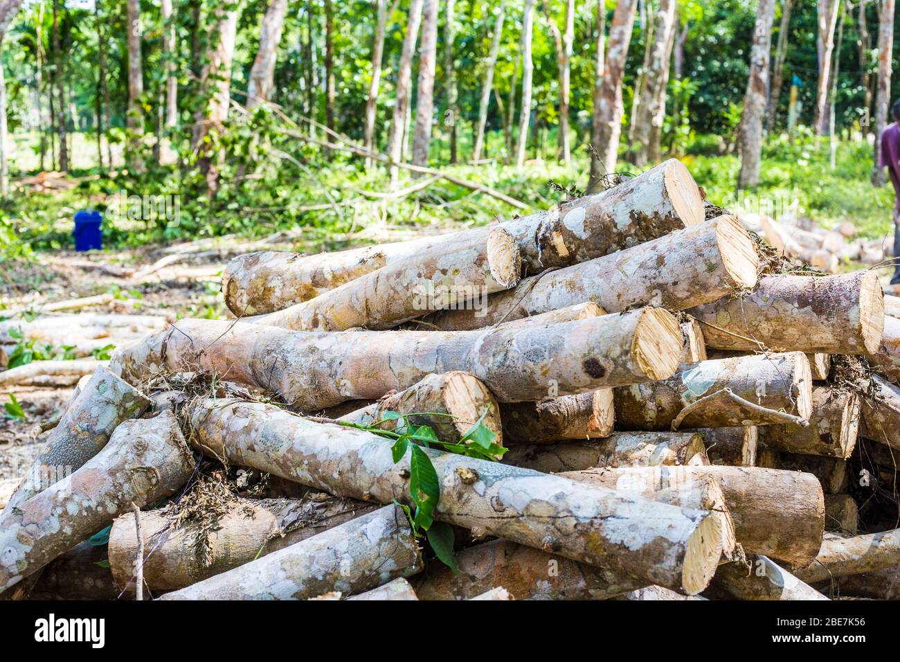 Para chain hi-res stock photography and images - Alamy