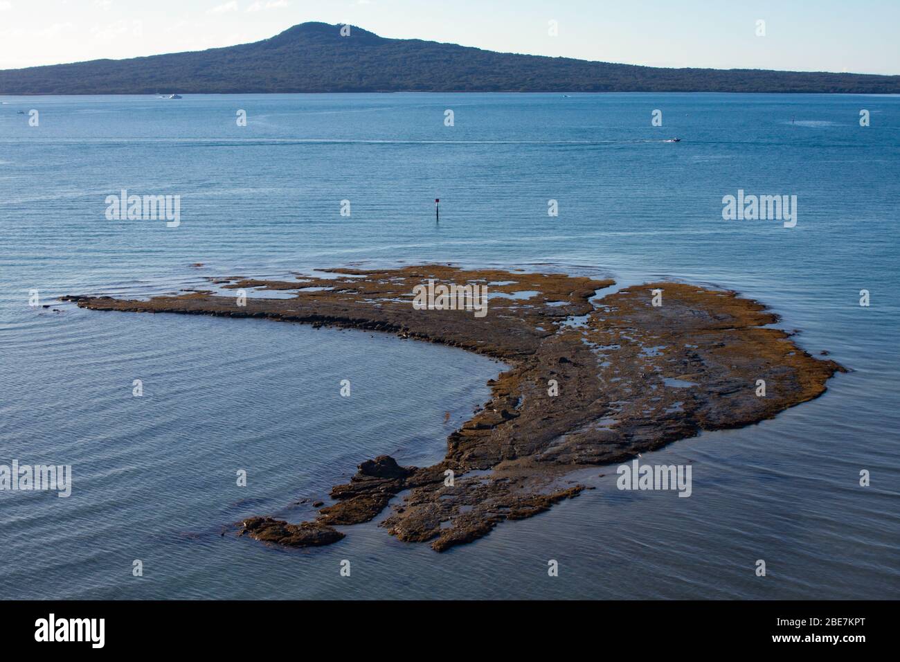 Ladies' bay new zealand hi-res stock photography and images - Alamy