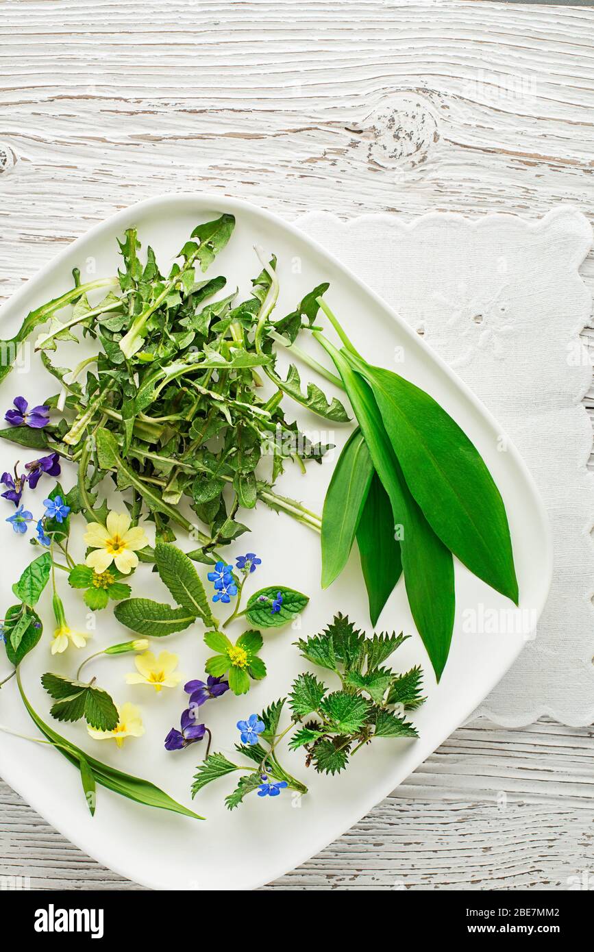 Healthy spring food ingredients. Dandelion, flowers, wild garlic and ...