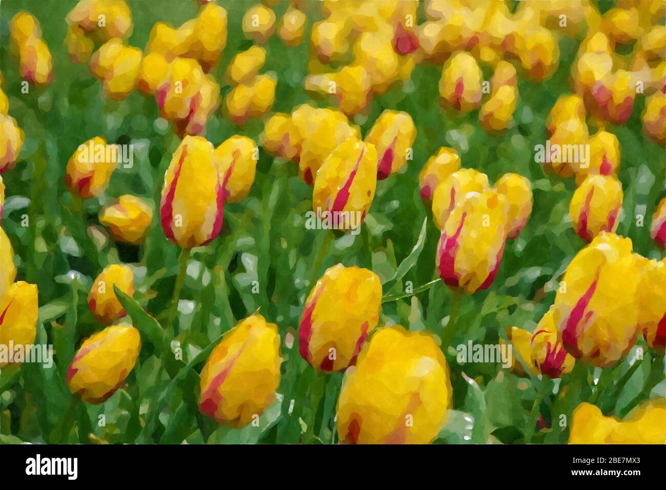 Watercolor tulip flower painting Tulips flowers blooming in botanical ...