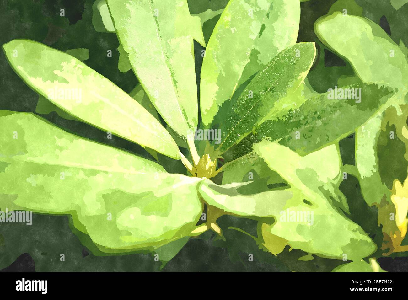 Watercolor painting illustration with green botanical garden plants ...