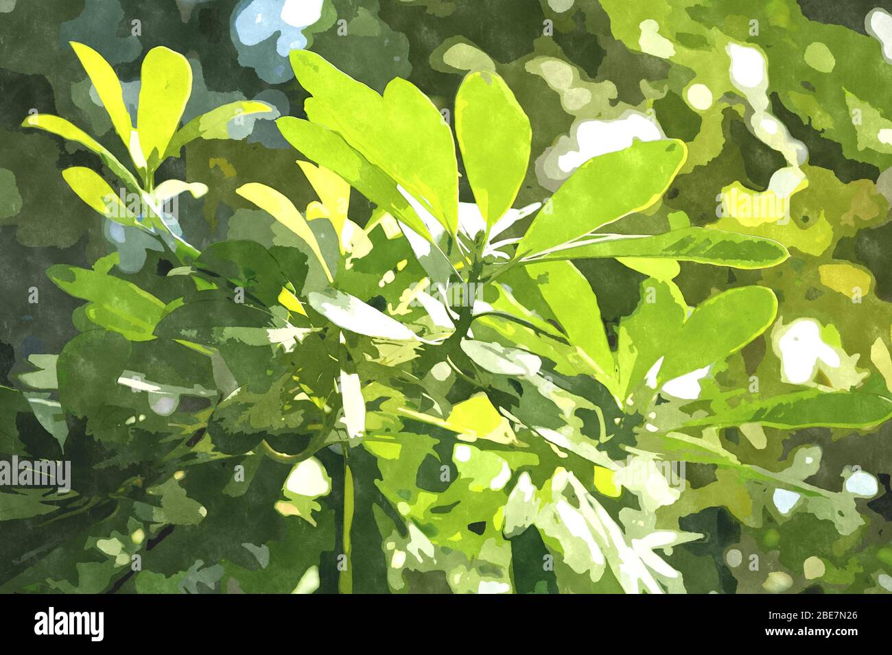 Watercolor painting illustration with green botanical garden plants ...