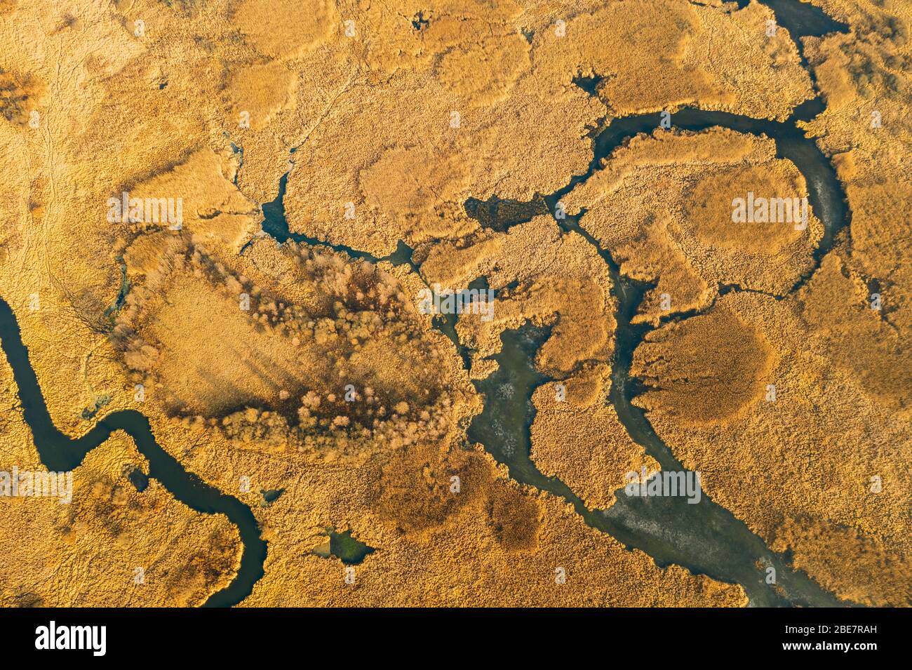 Flat dry marsh land hi-res stock photography and images - Alamy