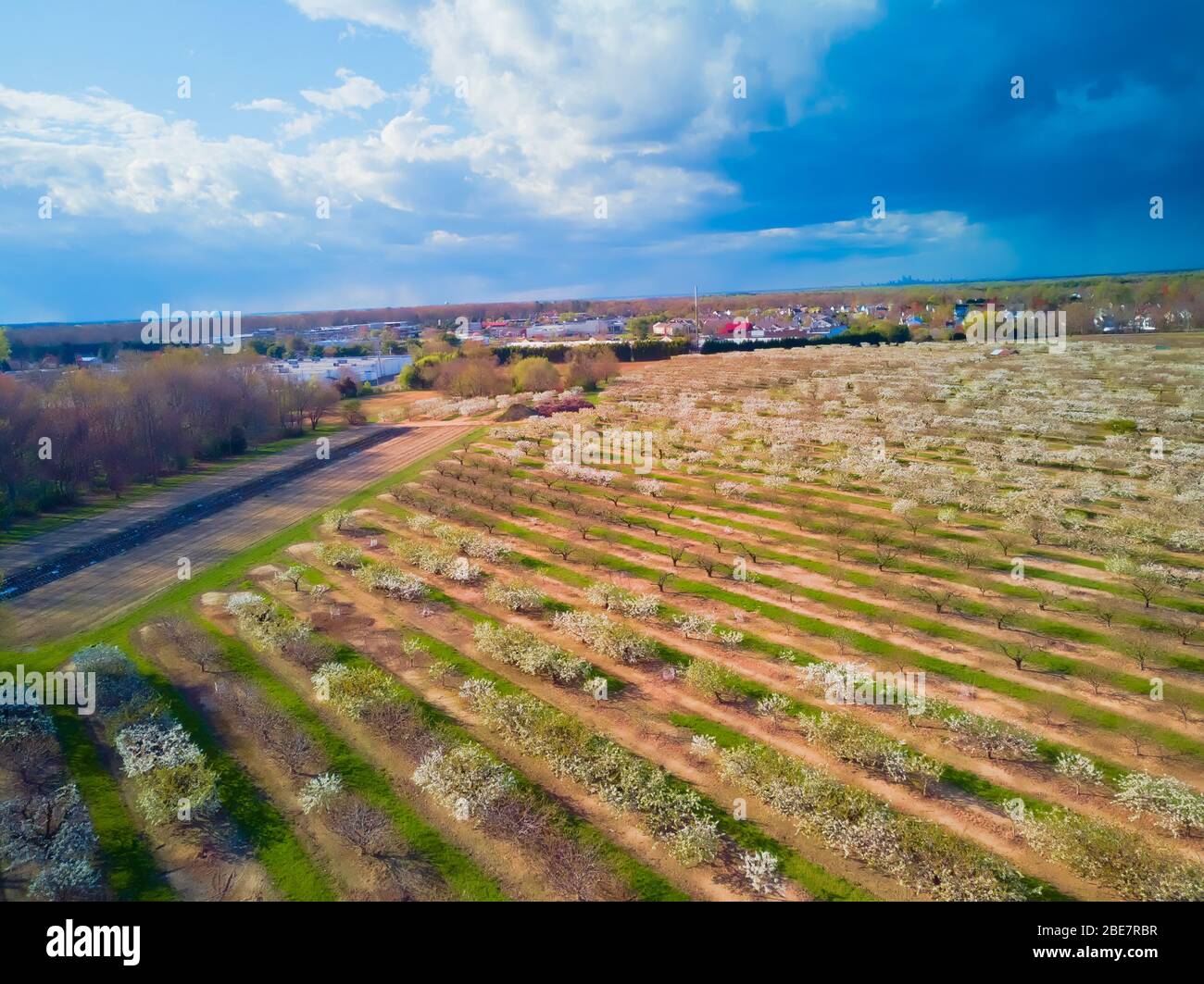 Aerial sowing hi-res stock photography and images - Alamy