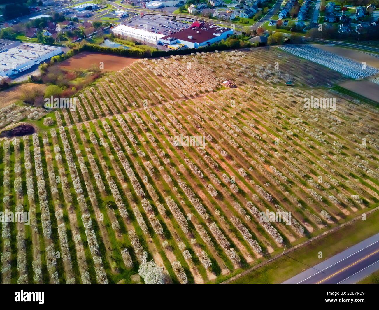Aerial sowing hi-res stock photography and images - Alamy