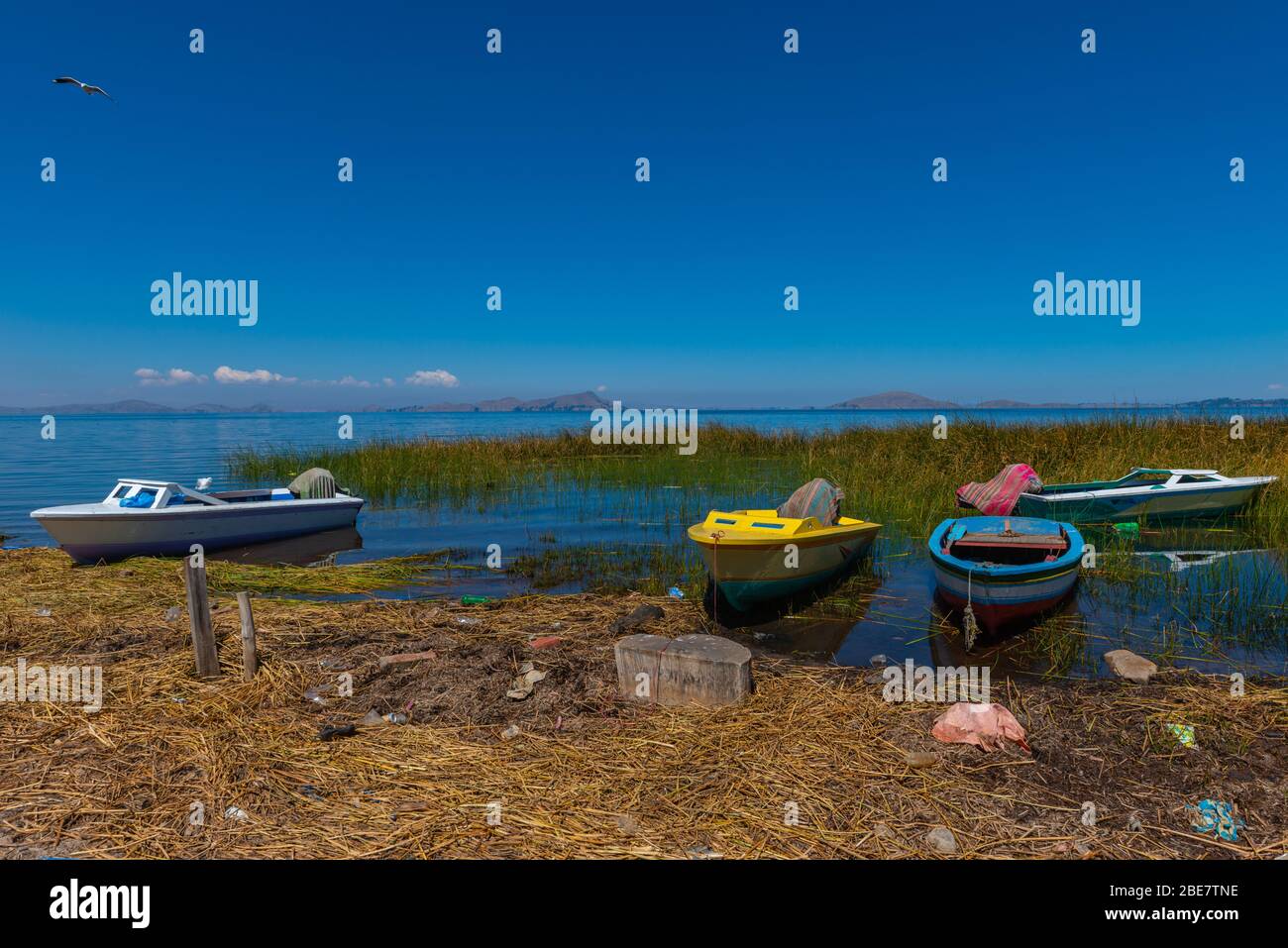 Water pollution latin america hi-res stock photography and images - Alamy