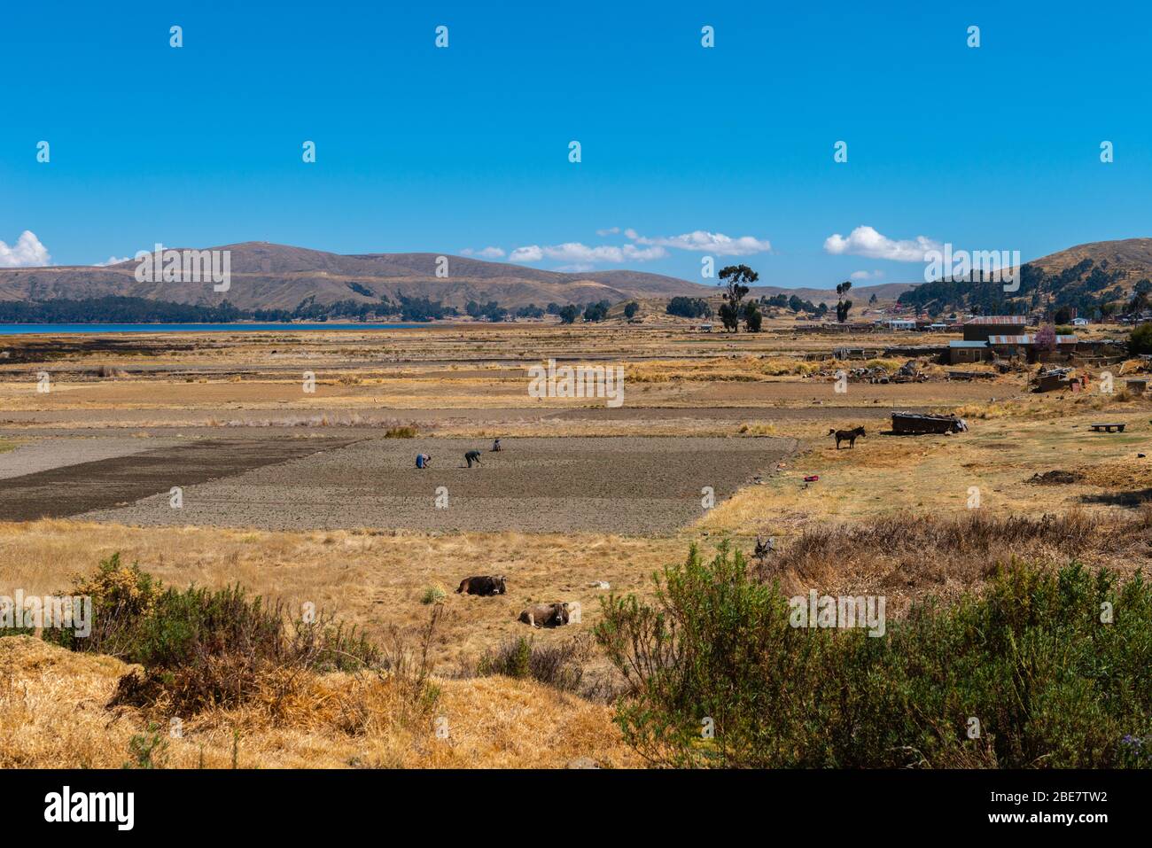 Agriculture and shifting cultivation in the Altiplano region, Peninsula ...