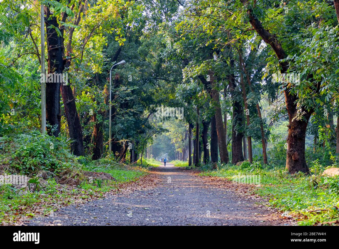 Walkway through the Acharya Jagadish Chandra Bose Indian Botanic Garden of Shibpur, Howrah near ...